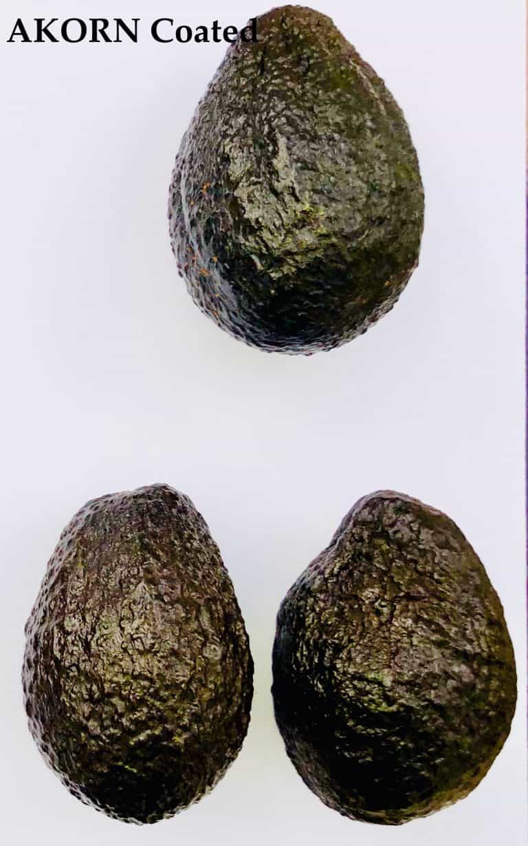 Our Products | AKORN Tech