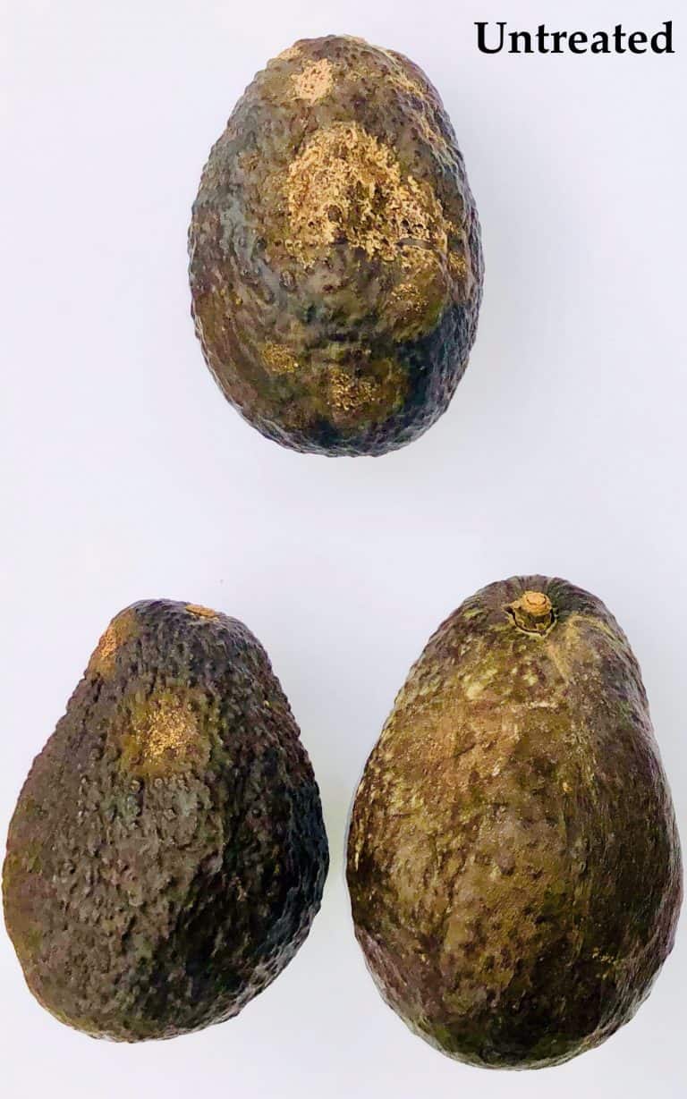 Our Products | AKORN Tech