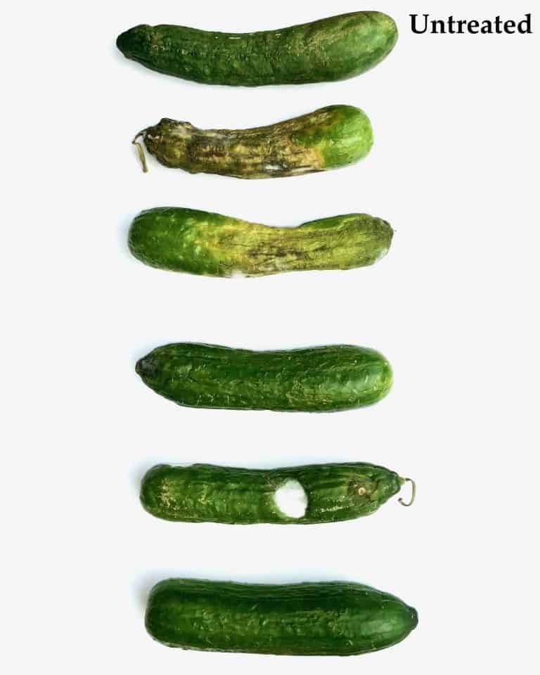 Our Products | AKORN Tech