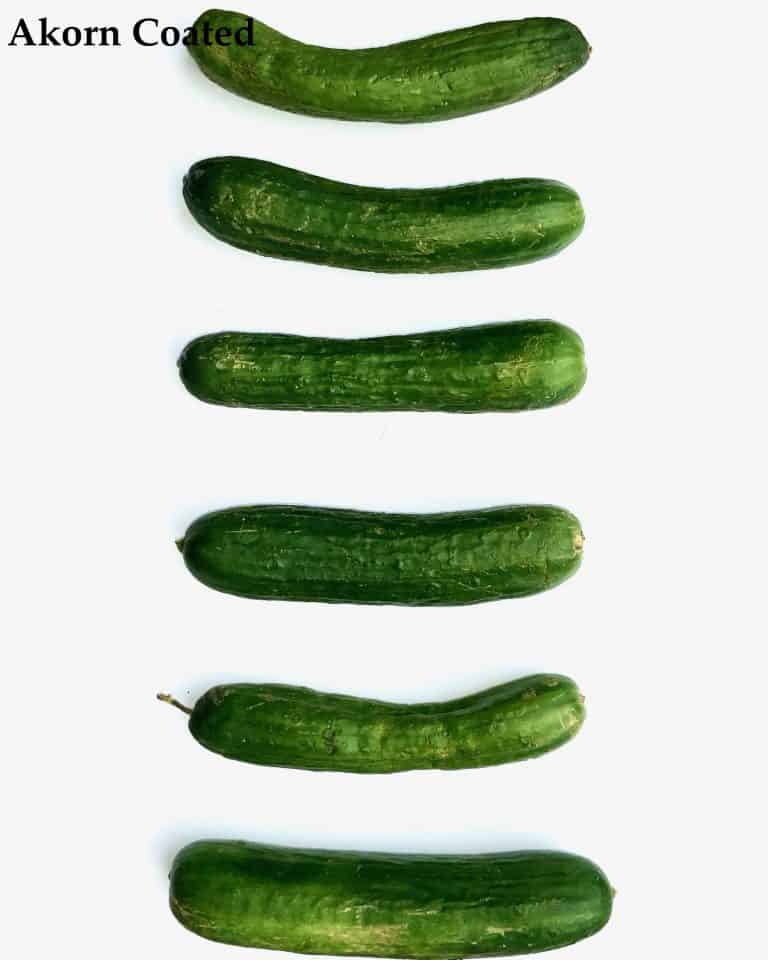 Our Products | AKORN Tech